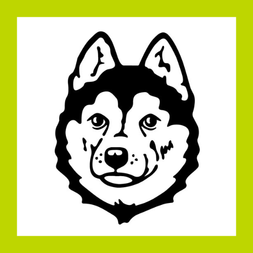 Clinical Trial Support Unit | University of Saskatchewan